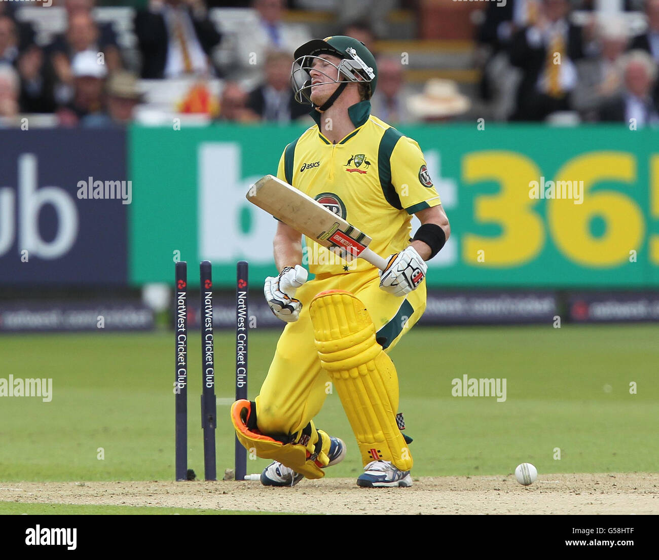 George Bailey Cricketer Wife