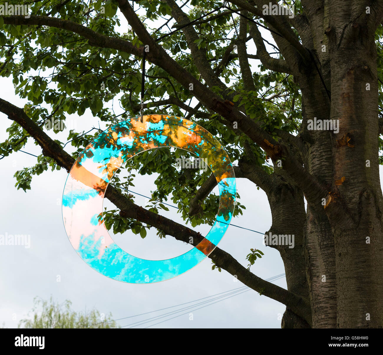 Visual tree hi-res stock photography and images - Alamy