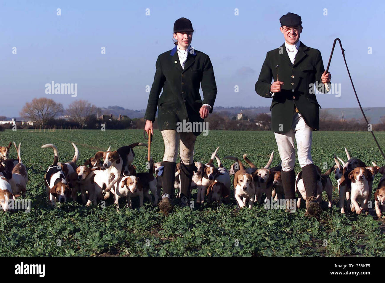 With borrowed hounds from neighbouring hunts hi-res stock photography ...