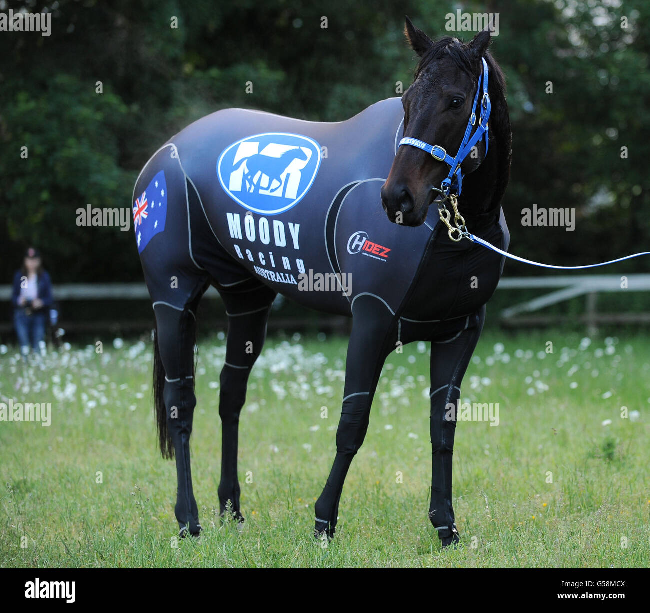 Racing horse training hi-res stock photography and images - Alamy