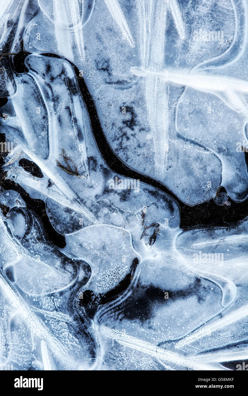 Ice puddles hi-res stock photography and images - Alamy