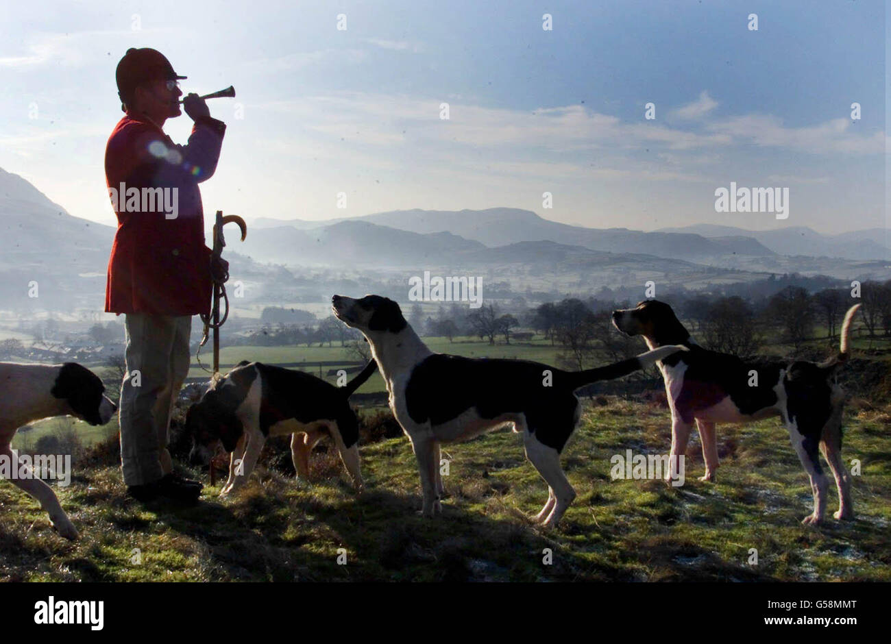 Huntsman Barry Todhunter of the John Peel Hunt in Blencathra, near ...