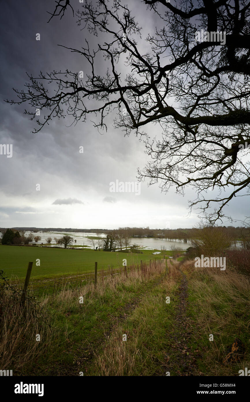 Flooded river valley in Norfolk, UK Stock Photo - Alamy