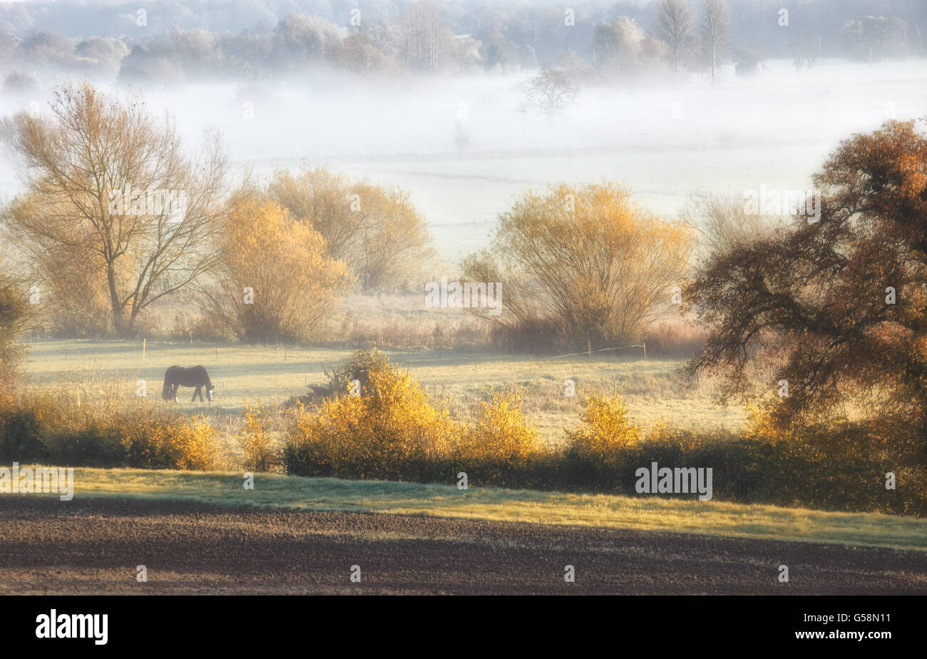 Misty Autumn morning in Norfolk, England, UK Stock Photo - Alamy