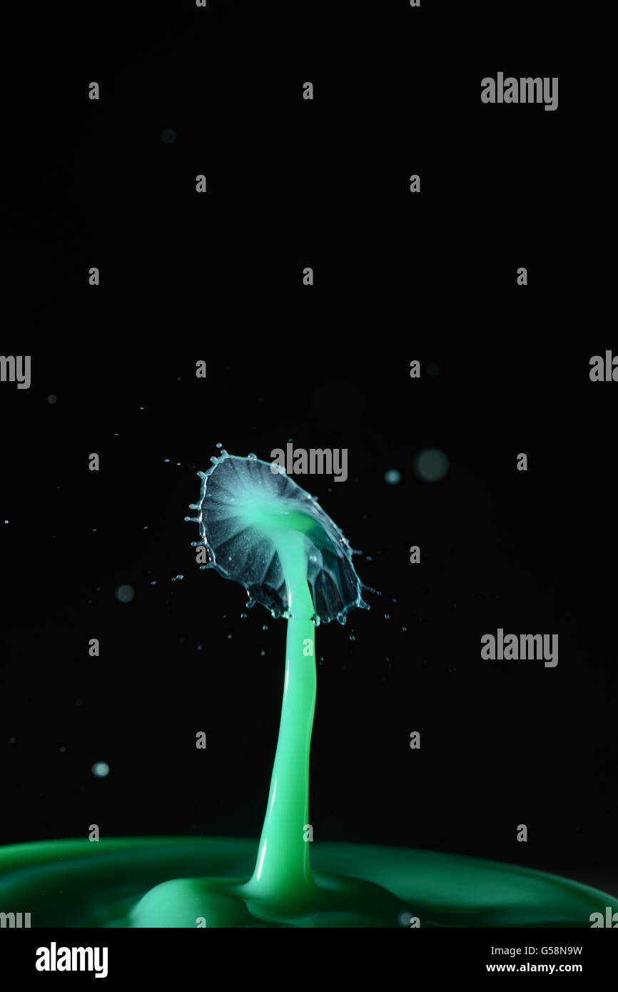 splash from collision of water drops captured with high speed ...