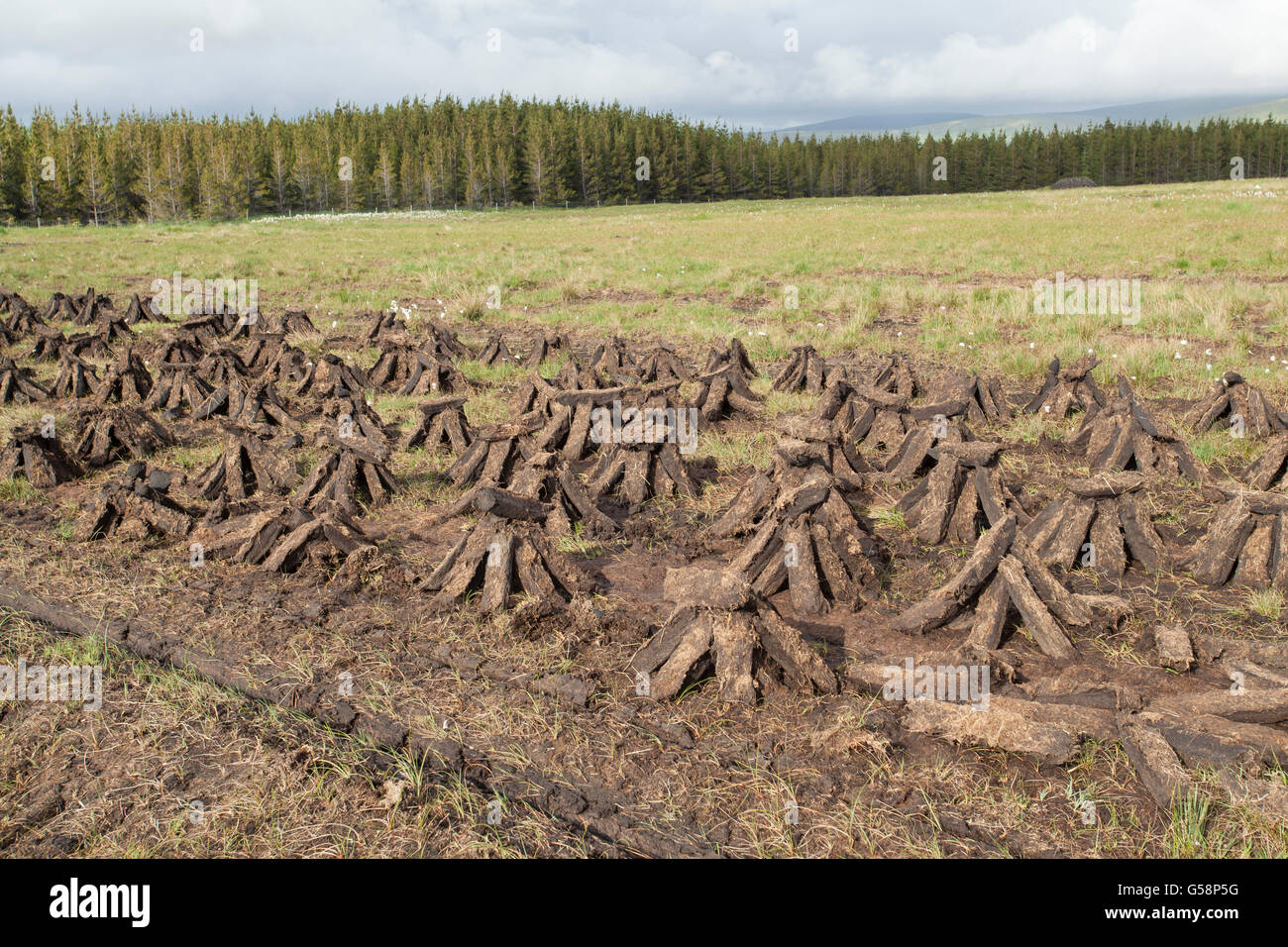 Domestic fuel peat hi-res stock photography and images - Alamy