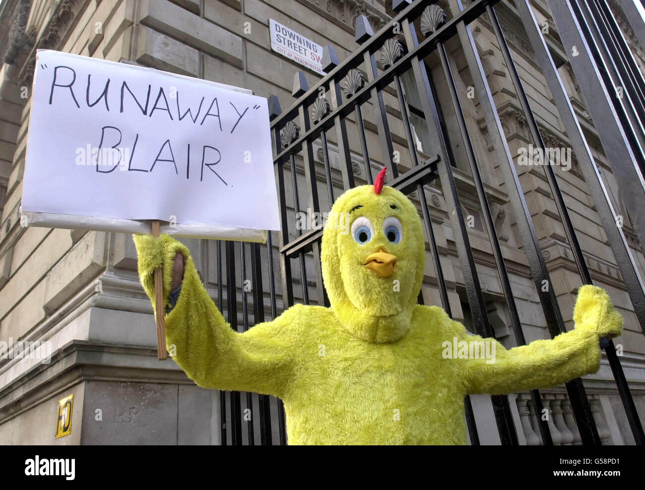 LibDem Blair 'chicken' protest Stock Photo - Alamy