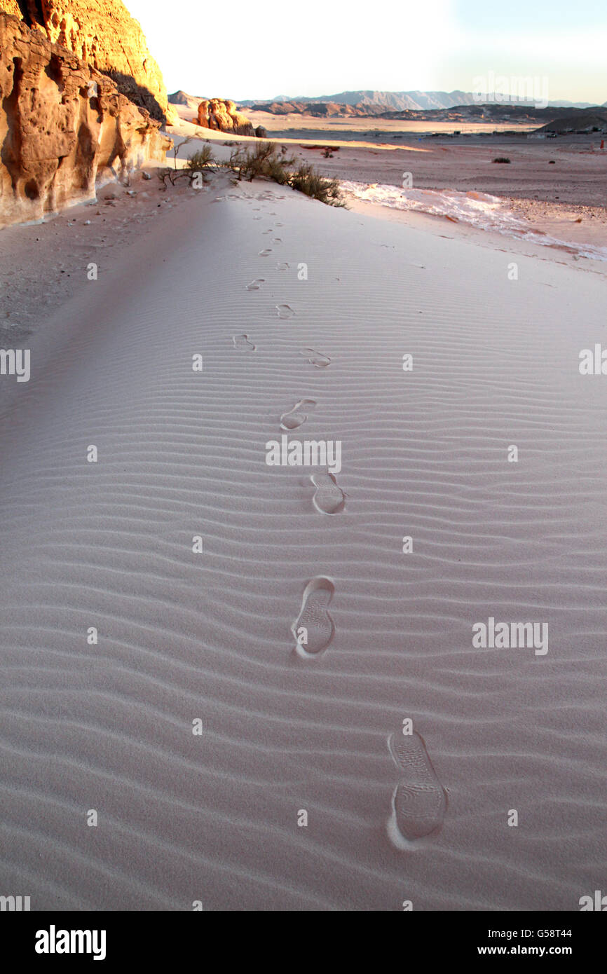 Desert footsteps hi-res stock photography and images - Alamy