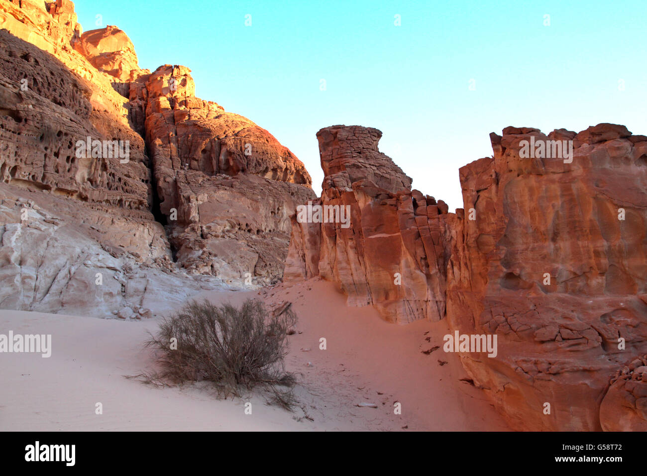 Nature of egypt hi-res stock photography and images - Alamy