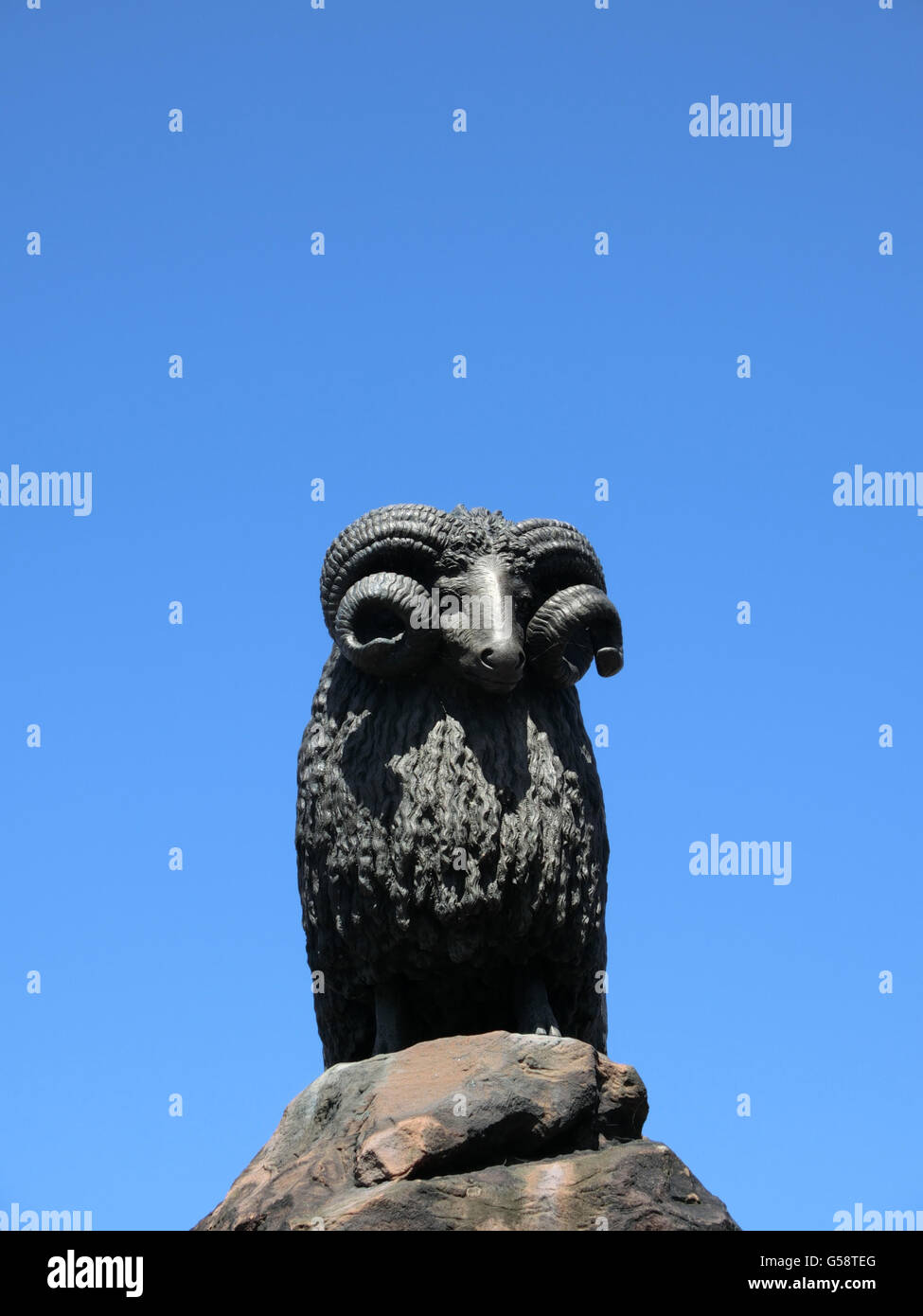 Moffat ram statue hi-res stock photography and images - Alamy