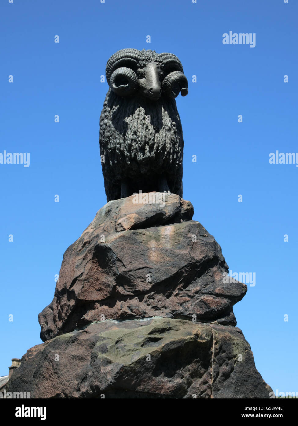 Moffat ram scotland hi-res stock photography and images - Alamy