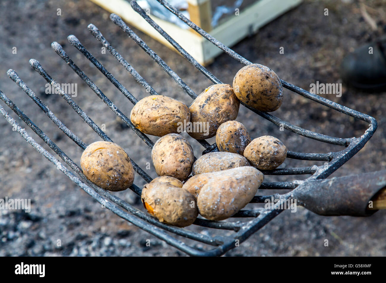 Potato fire hi-res stock photography and images - Alamy