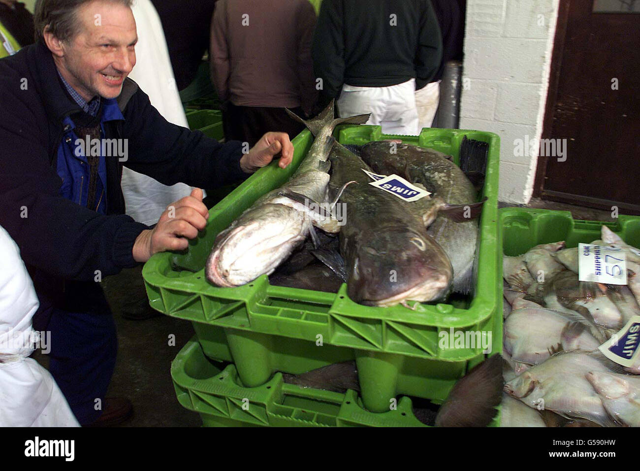 EU Fish Waveney Stock Photo - Alamy