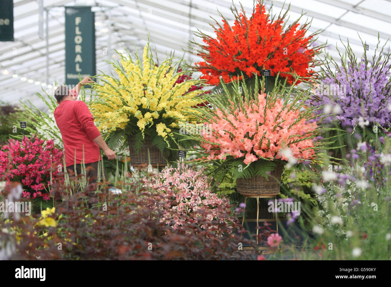 RHS Hampton Court Palace Flower Show Stock Photo - Alamy