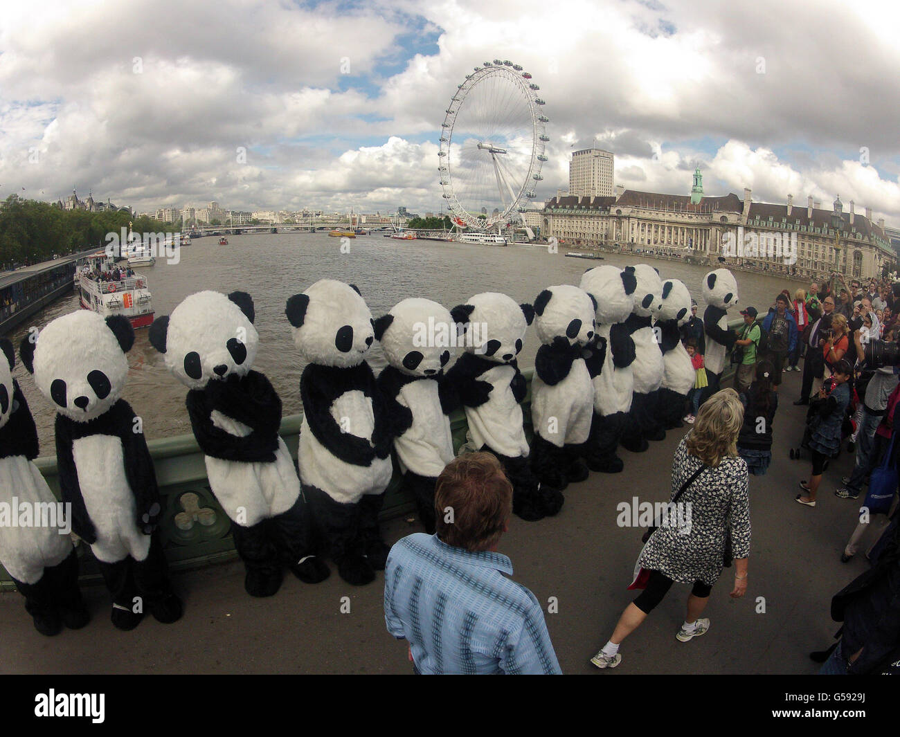 People dressed as pandas on Westminster Bridge, in central London to ...