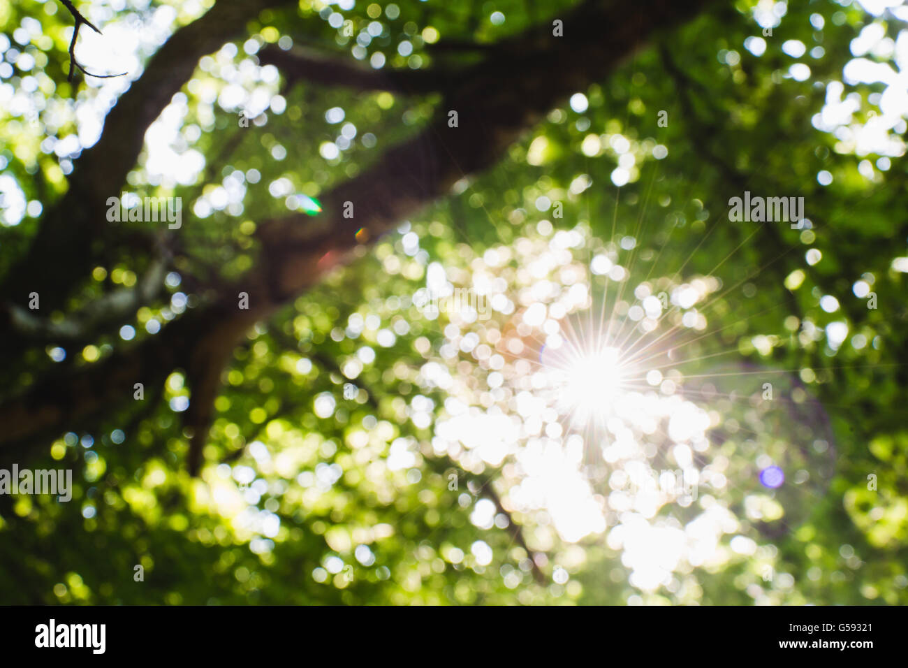 Bright sun reflection hi-res stock photography and images - Alamy