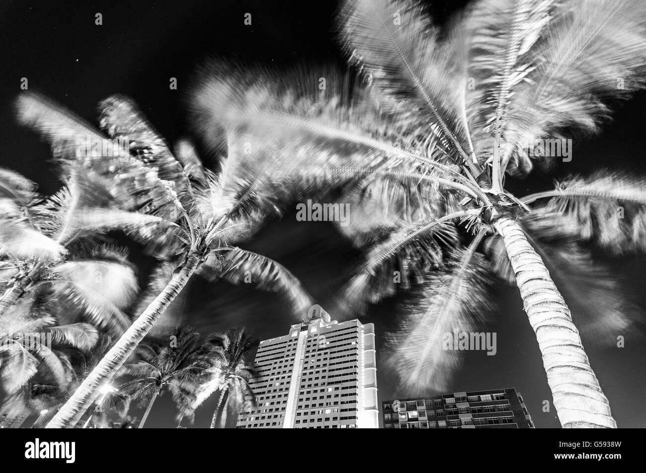 Durban night hi-res stock photography and images - Alamy
