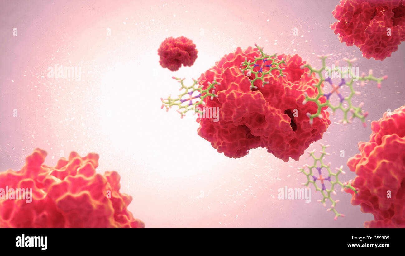 Hemoglobin (in red) is a protein in the blood that carries oxygen from ...