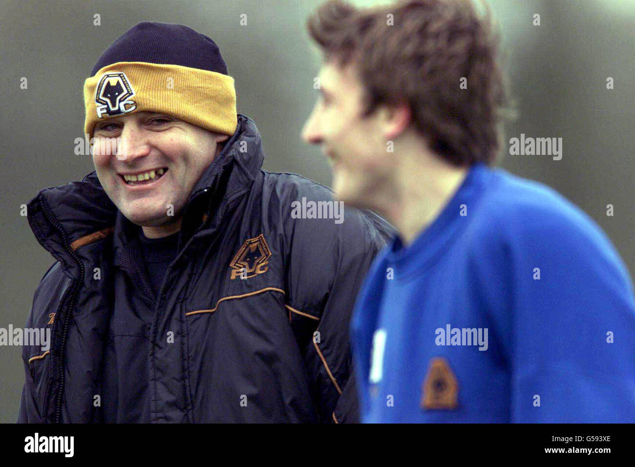 Wolves training Dave Jones Stock Photo - Alamy