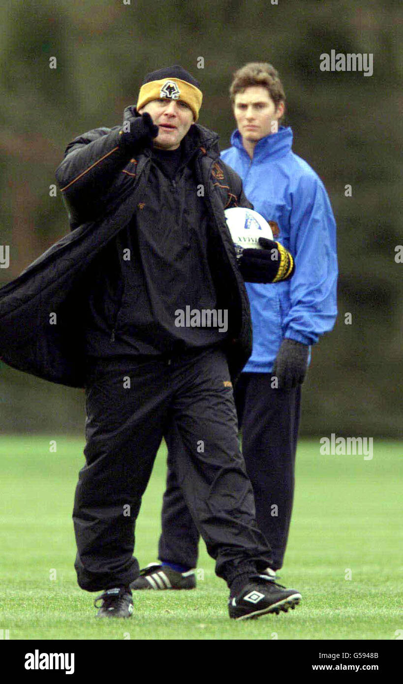 Wolves training Dave Jones Stock Photo - Alamy