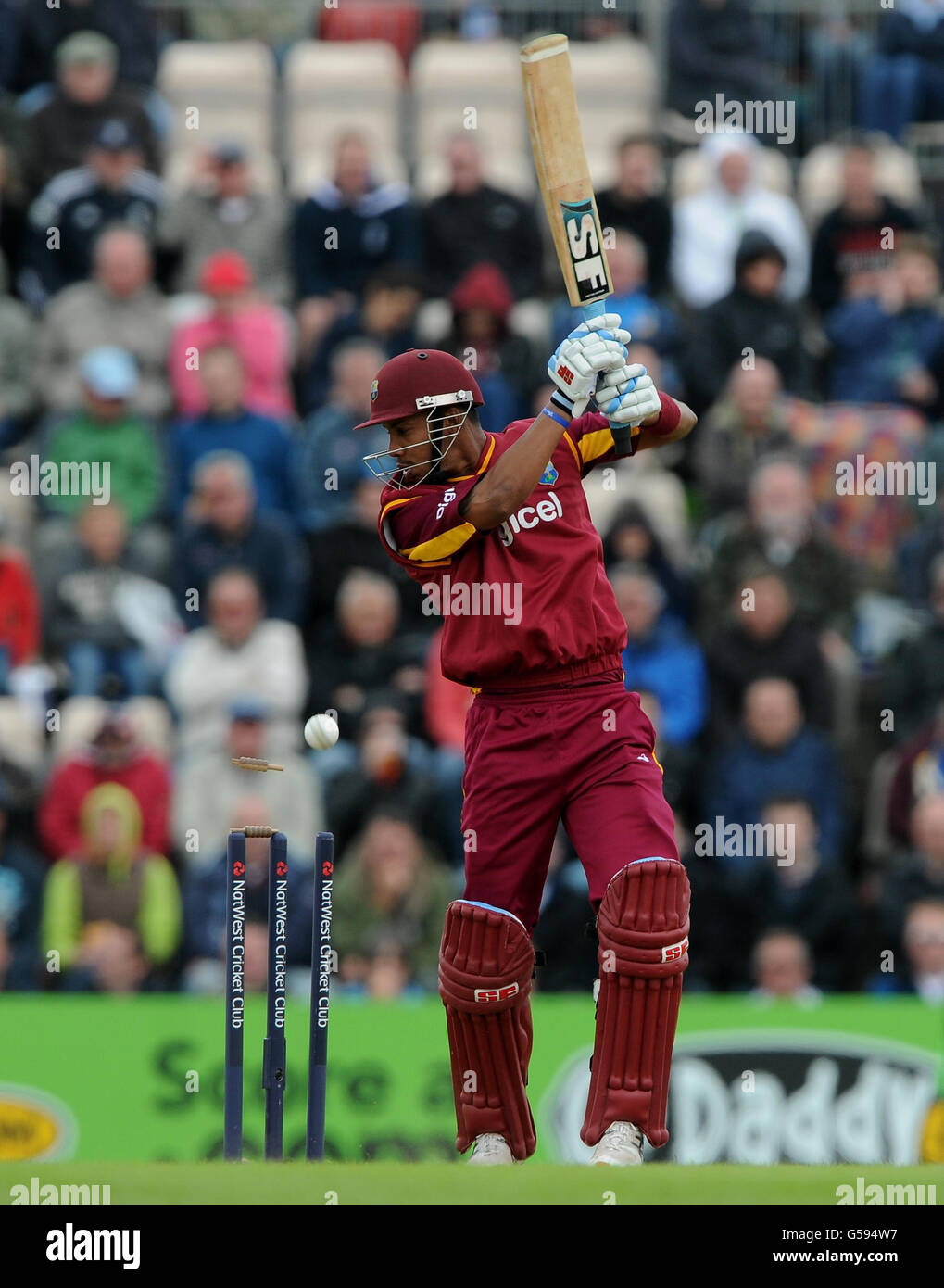 Own stumps hi-res stock photography and images - Alamy