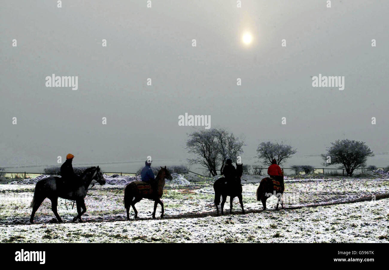 Race track inspection hi-res stock photography and images - Alamy