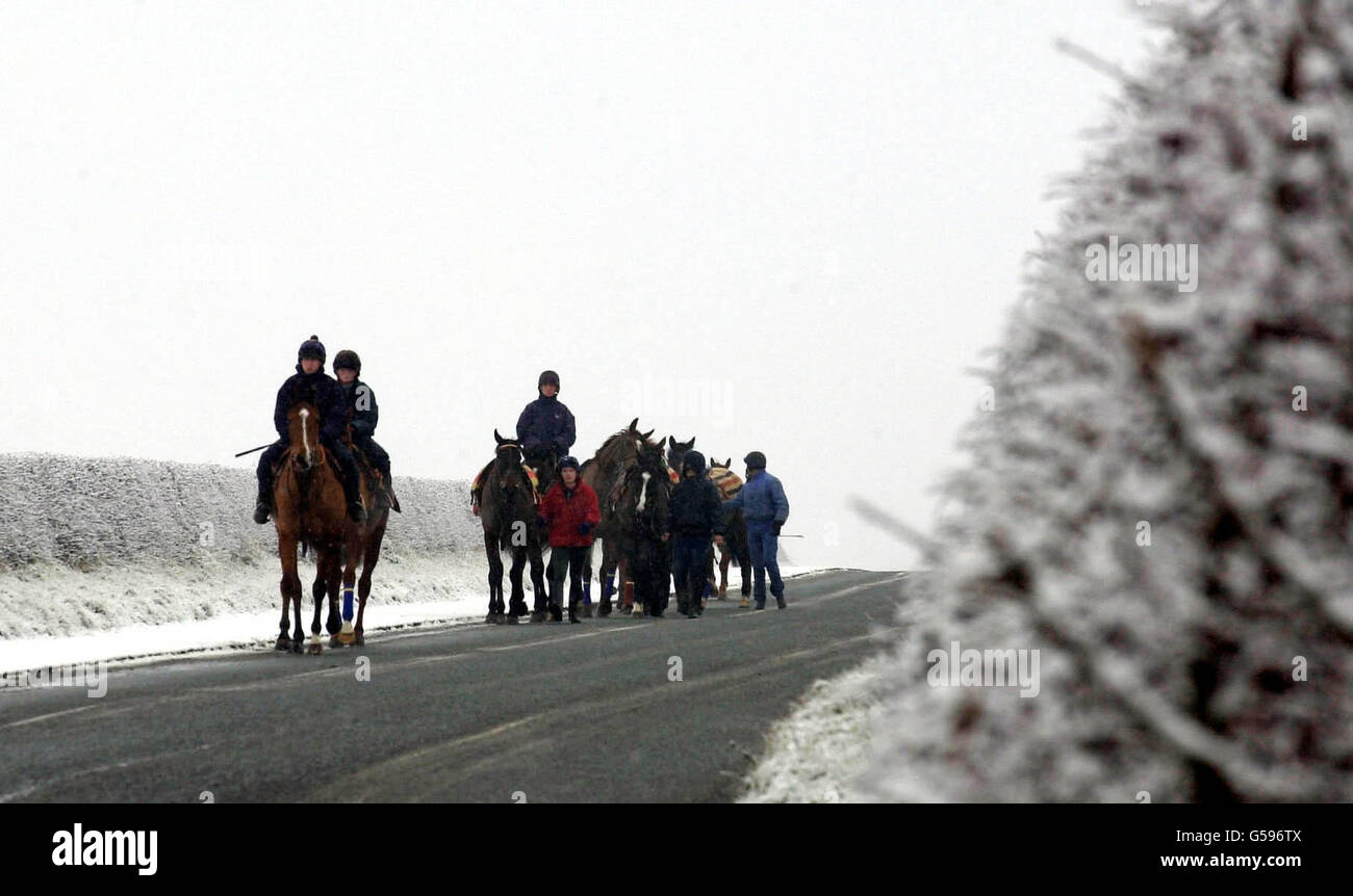 Racing track inspection hi-res stock photography and images - Alamy
