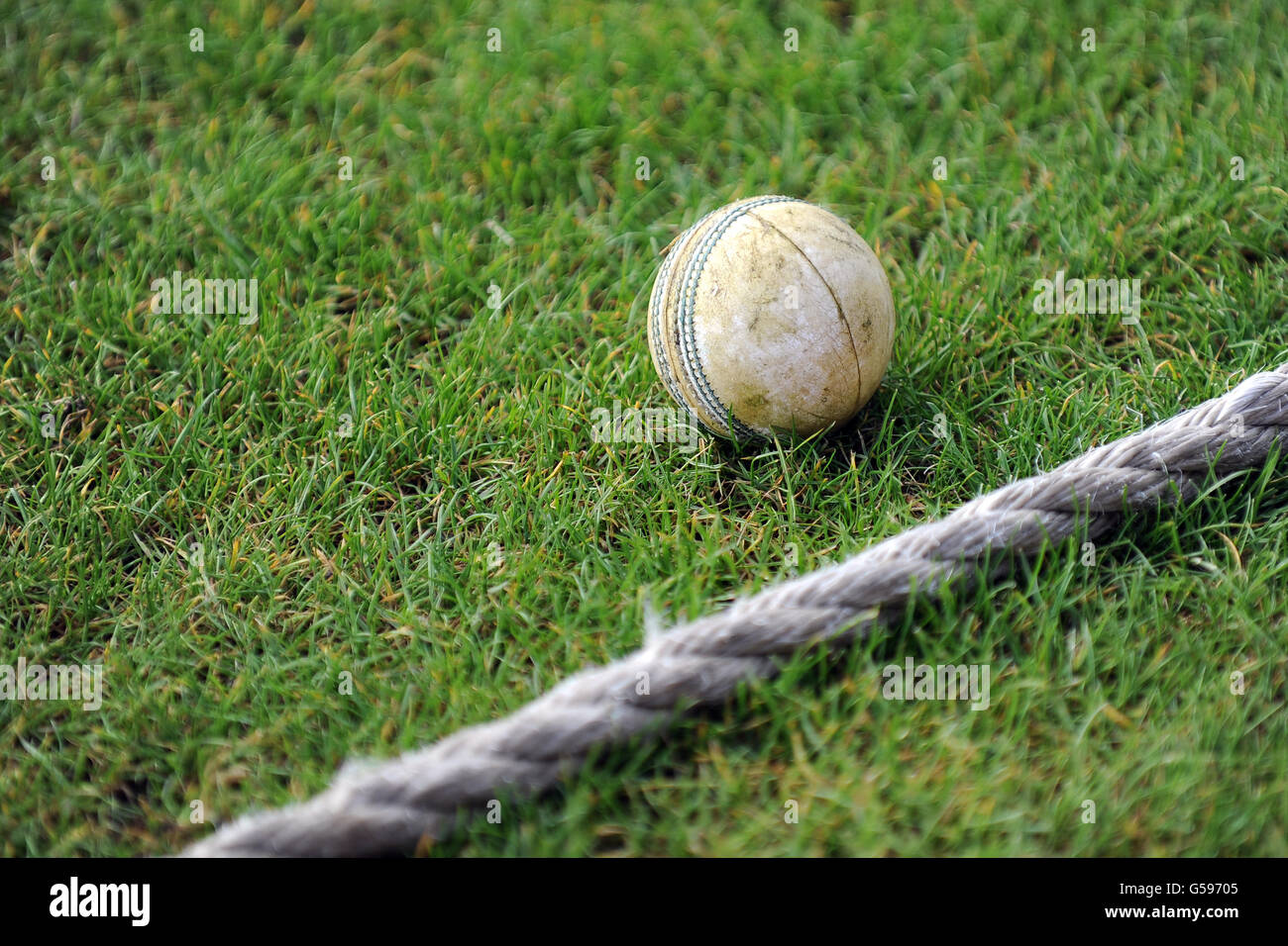 Cricket pitch detail hi-res stock photography and images - Alamy