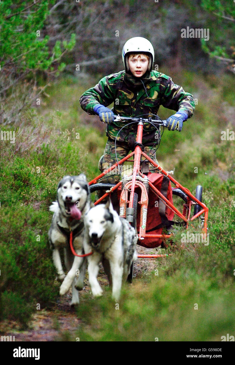 Fourteen year old musher michael hyden from horsham hi-res stock ...
