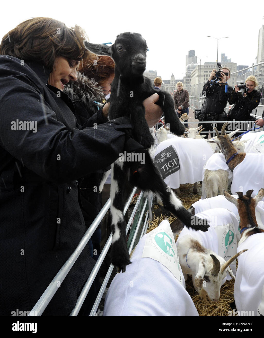 International Widow's Day Stock Photo - Alamy