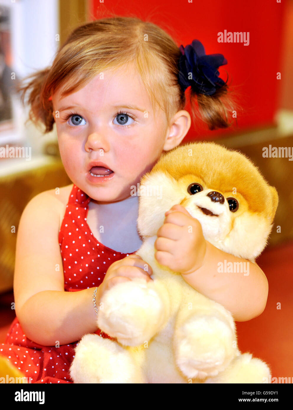 Hamleys Top Christmas Toys List Stock Photo Alamy Hamleys Top Christmas Toys List Stock Photo Alamy