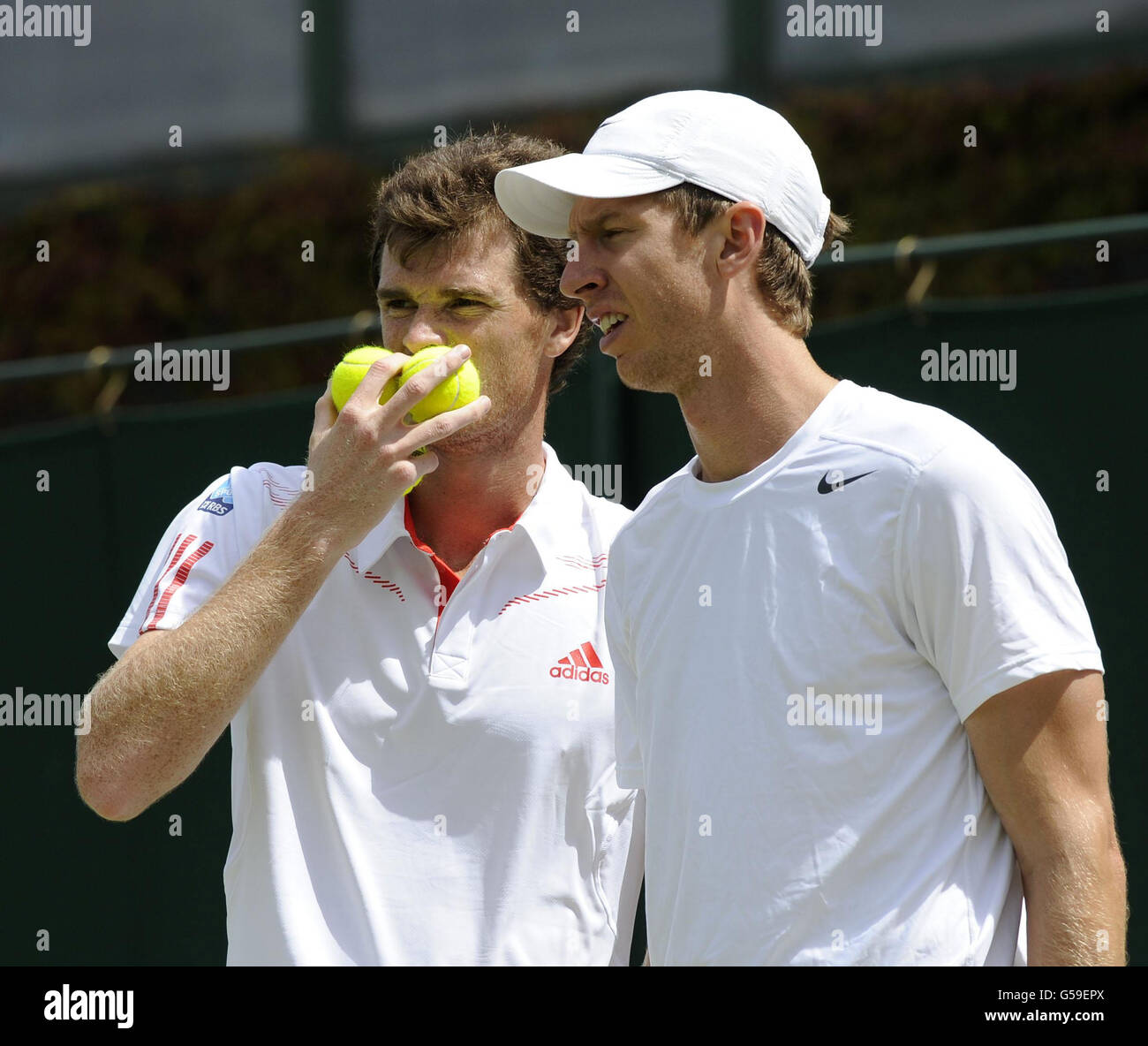 Butorac hi-res stock photography and images - Alamy