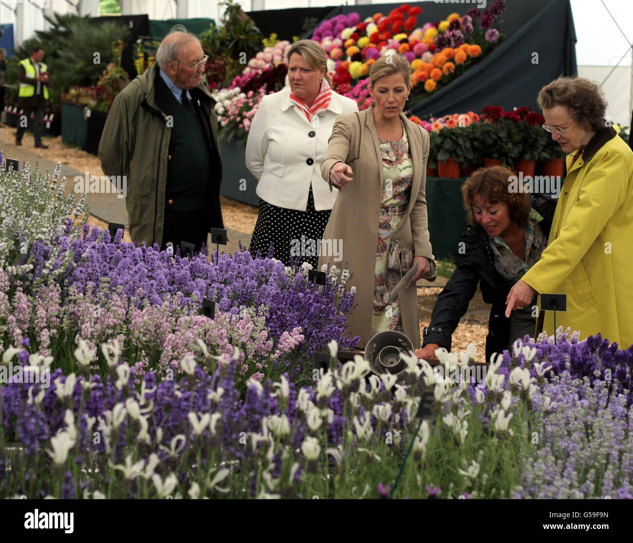 RHS Hampton Court Palace Flower Show Stock Photo - Alamy