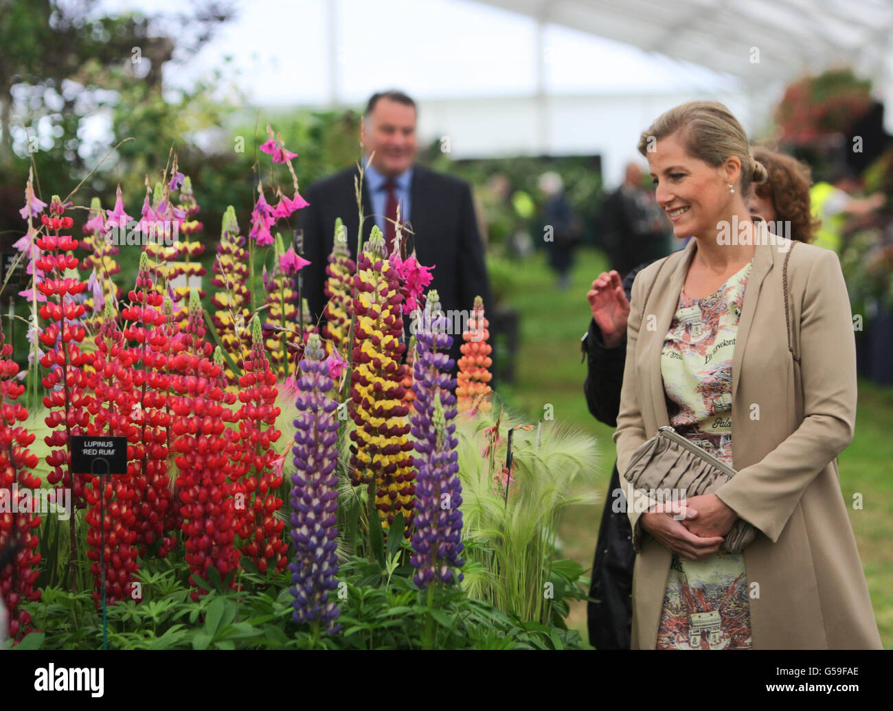 RHS Hampton Court Palace Flower Show Stock Photo - Alamy