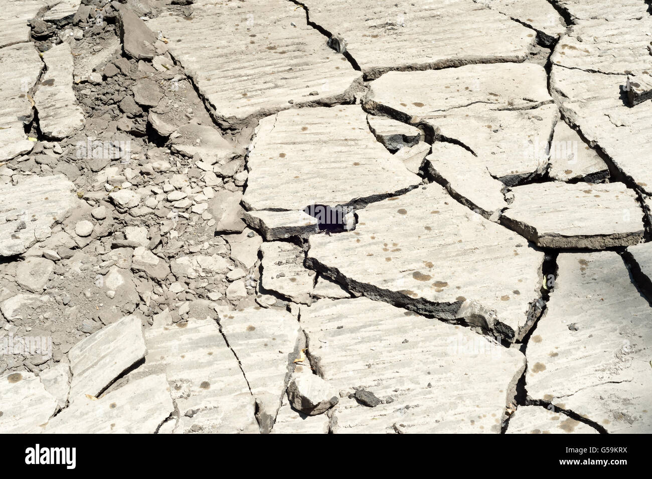 Repaving work in central Montreal Stock Photo - Alamy