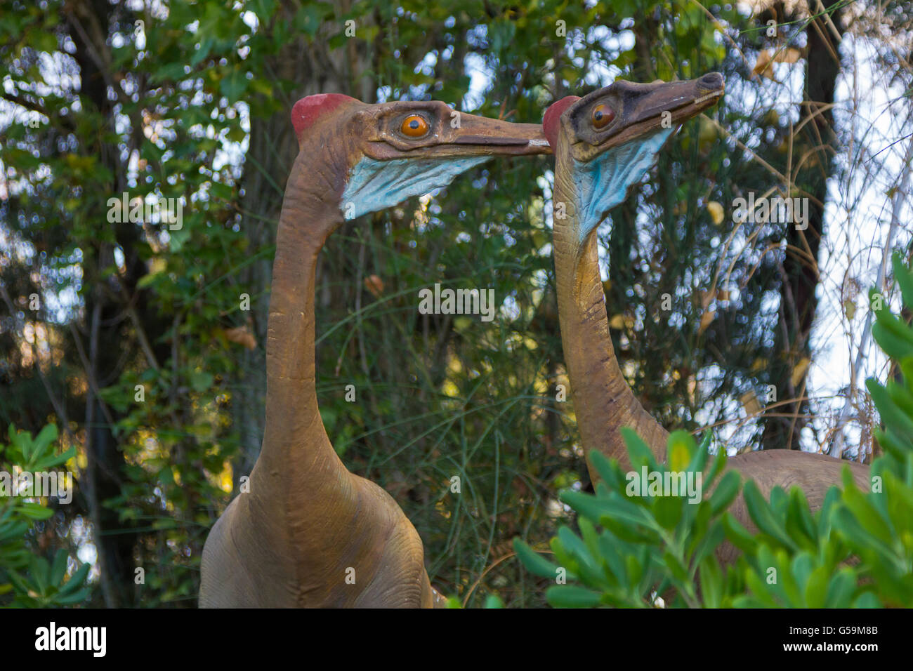 Ornithomimus velox hi-res stock photography and images - Alamy