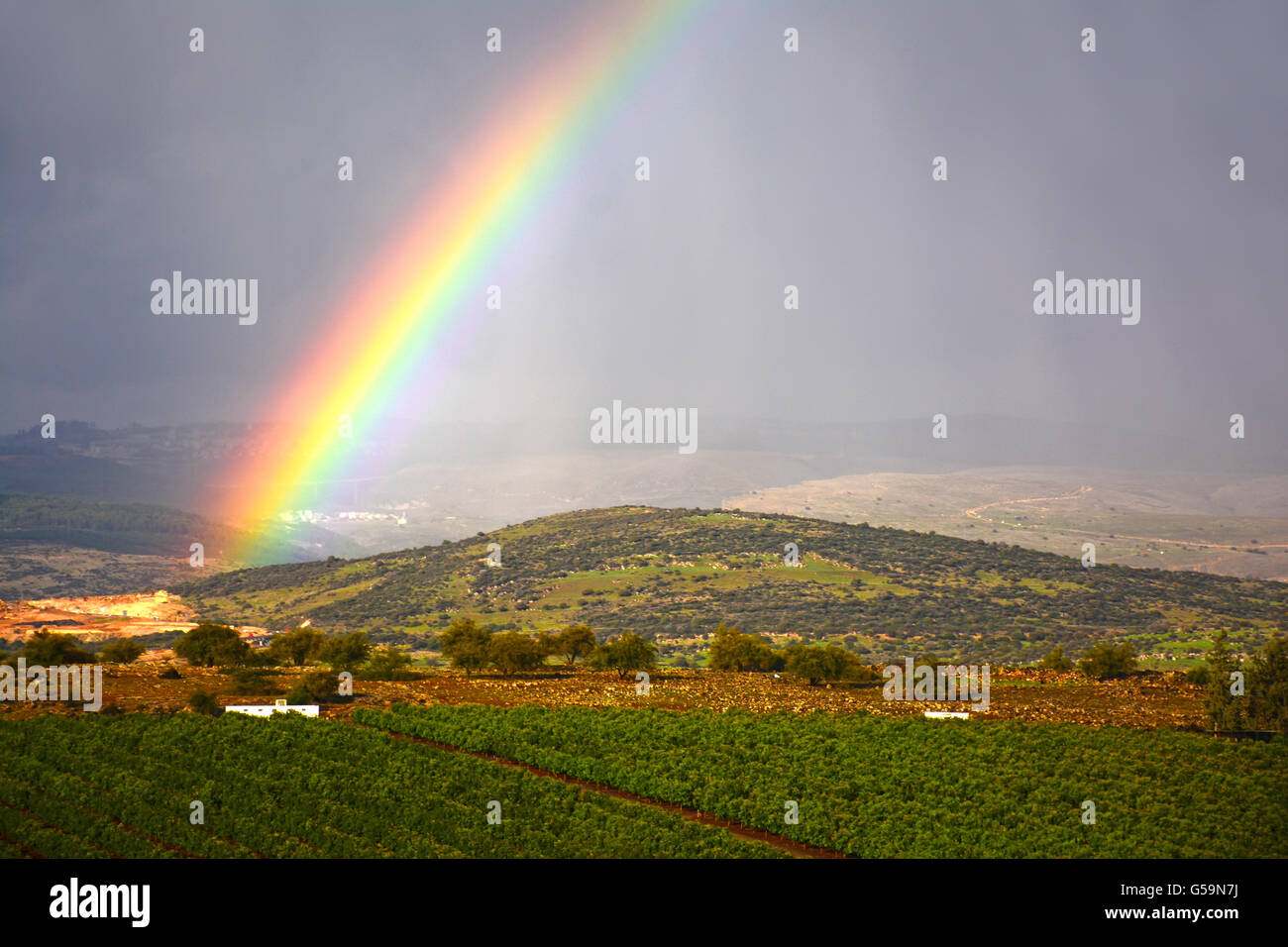 Galilee hi-res stock photography and images - Alamy