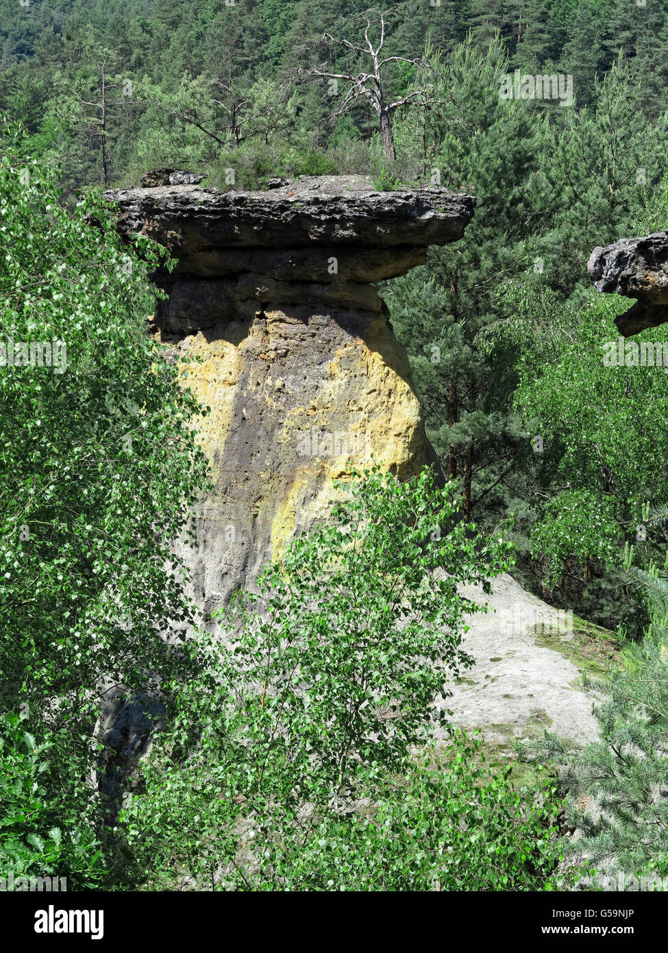 Bizarre rock formation - rock plate-cover - rock plate Stock Photo - Alamy
