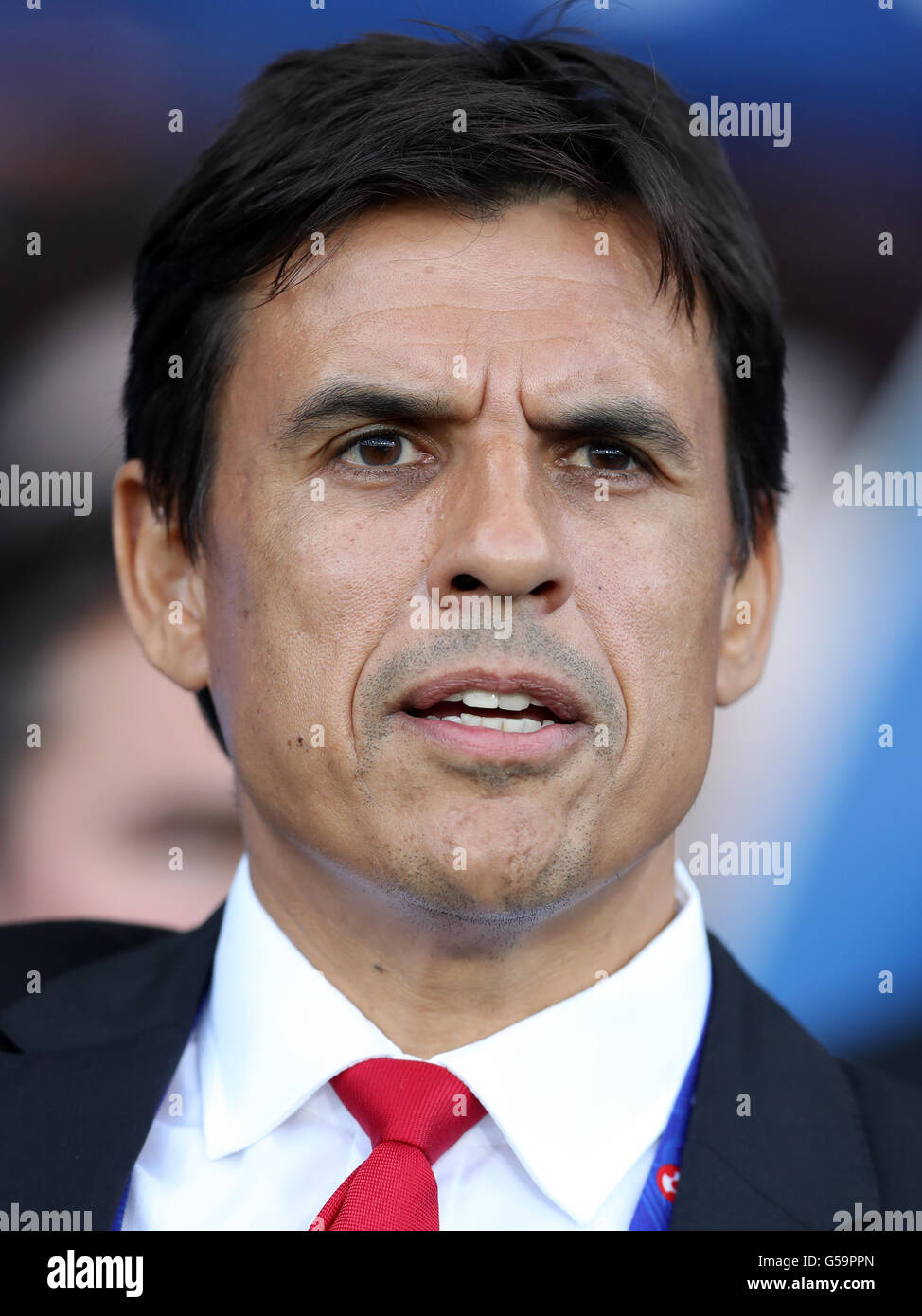 Wales euro 2016 team photo hi-res stock photography and images - Alamy