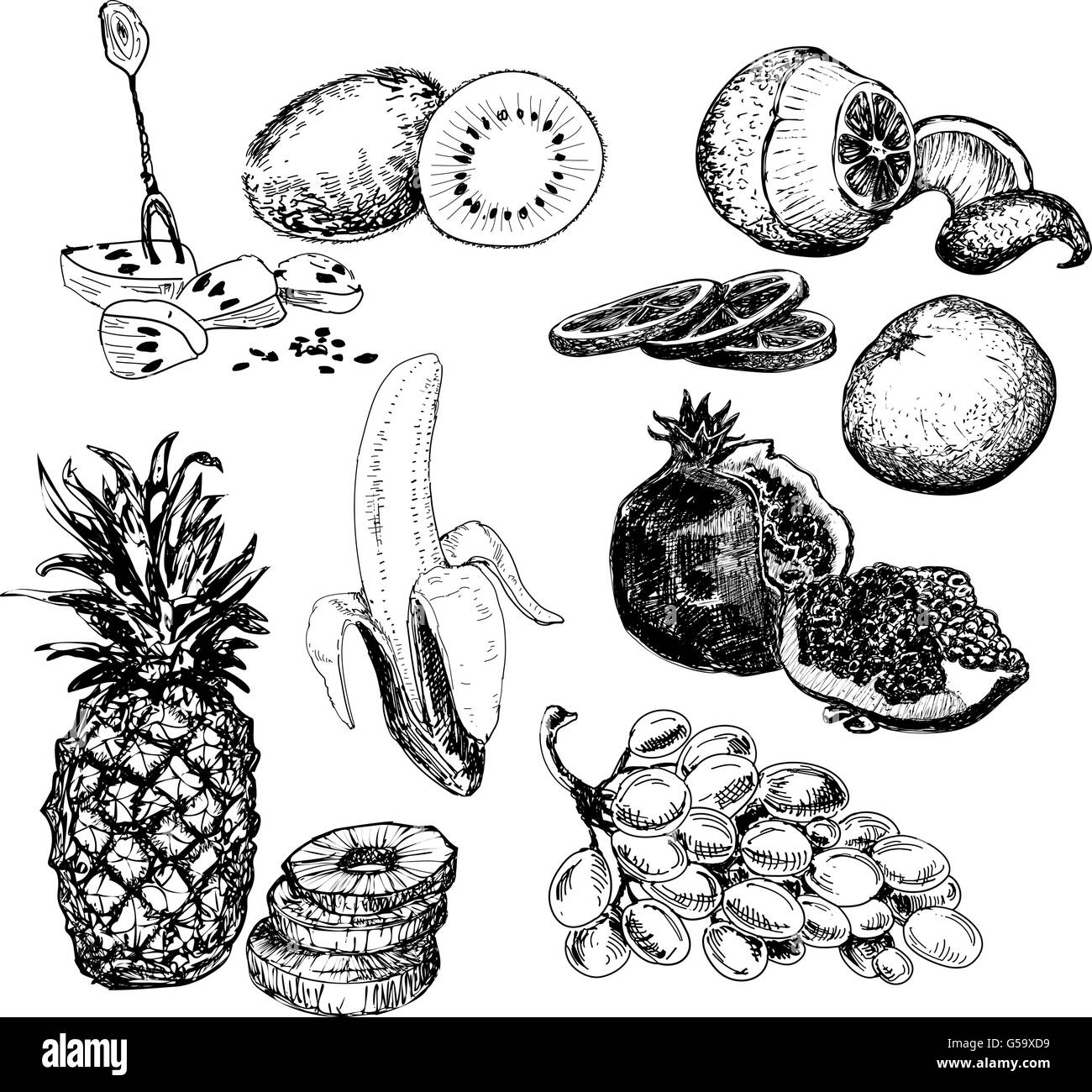 Hand drawn fruits collection Stock Vector Image & Art - Alamy