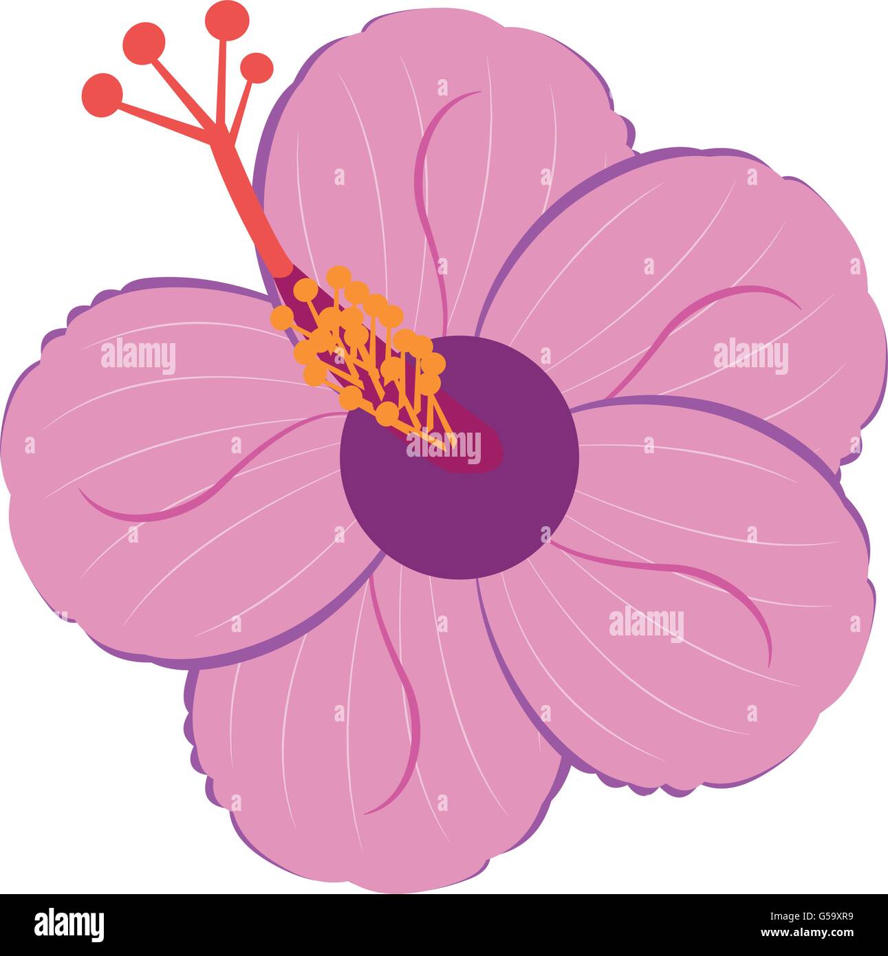 pink and purple flowe,vector graphic Stock Vector Image & Art - Alamy
