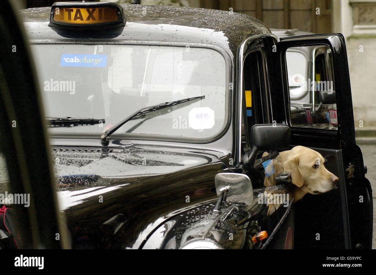Education secretary david blunkett left and his guide dog hi-res stock ...