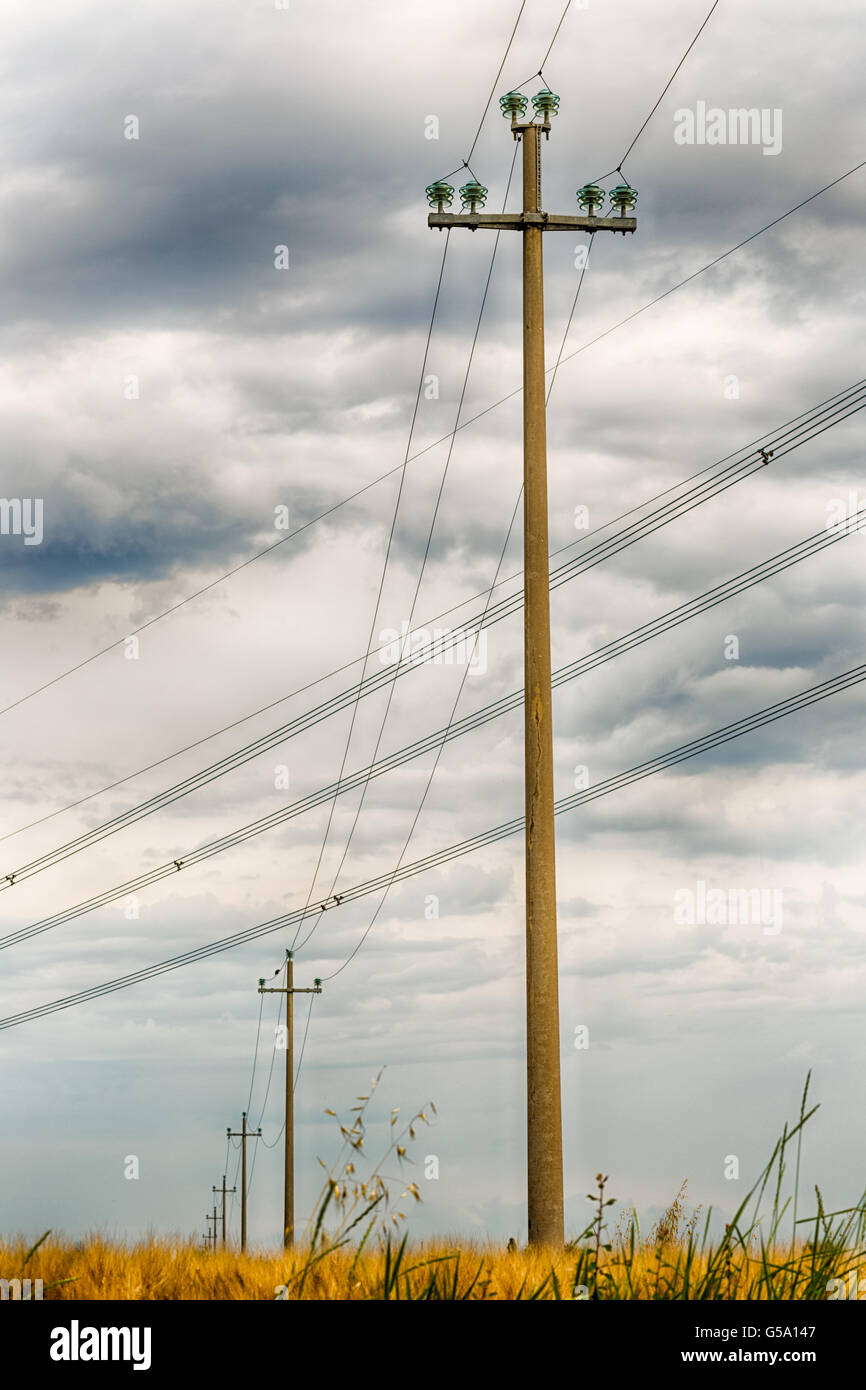 poles for the distribution of electricity Stock Photo - Alamy