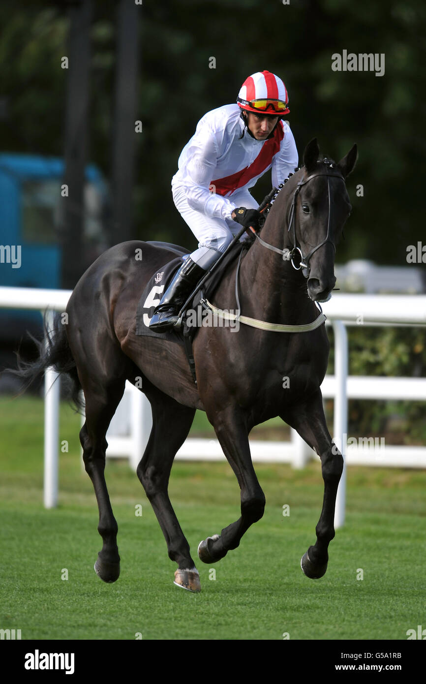 Jockey Chris Catlin goes to post on Mystical Man for the British ...