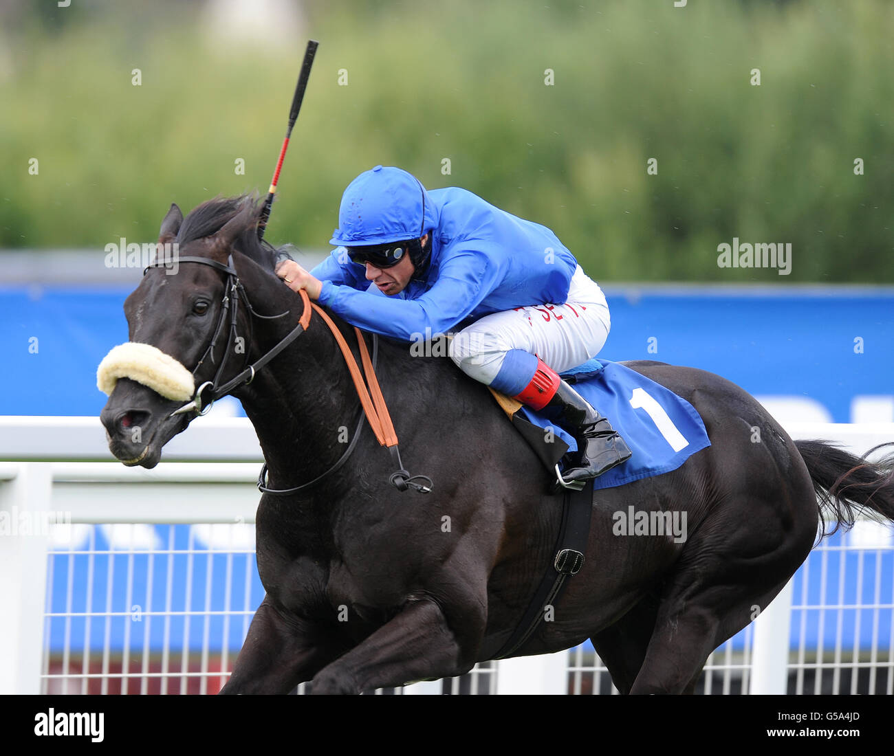 Horseracing races horses coral hi-res stock photography and images - Alamy