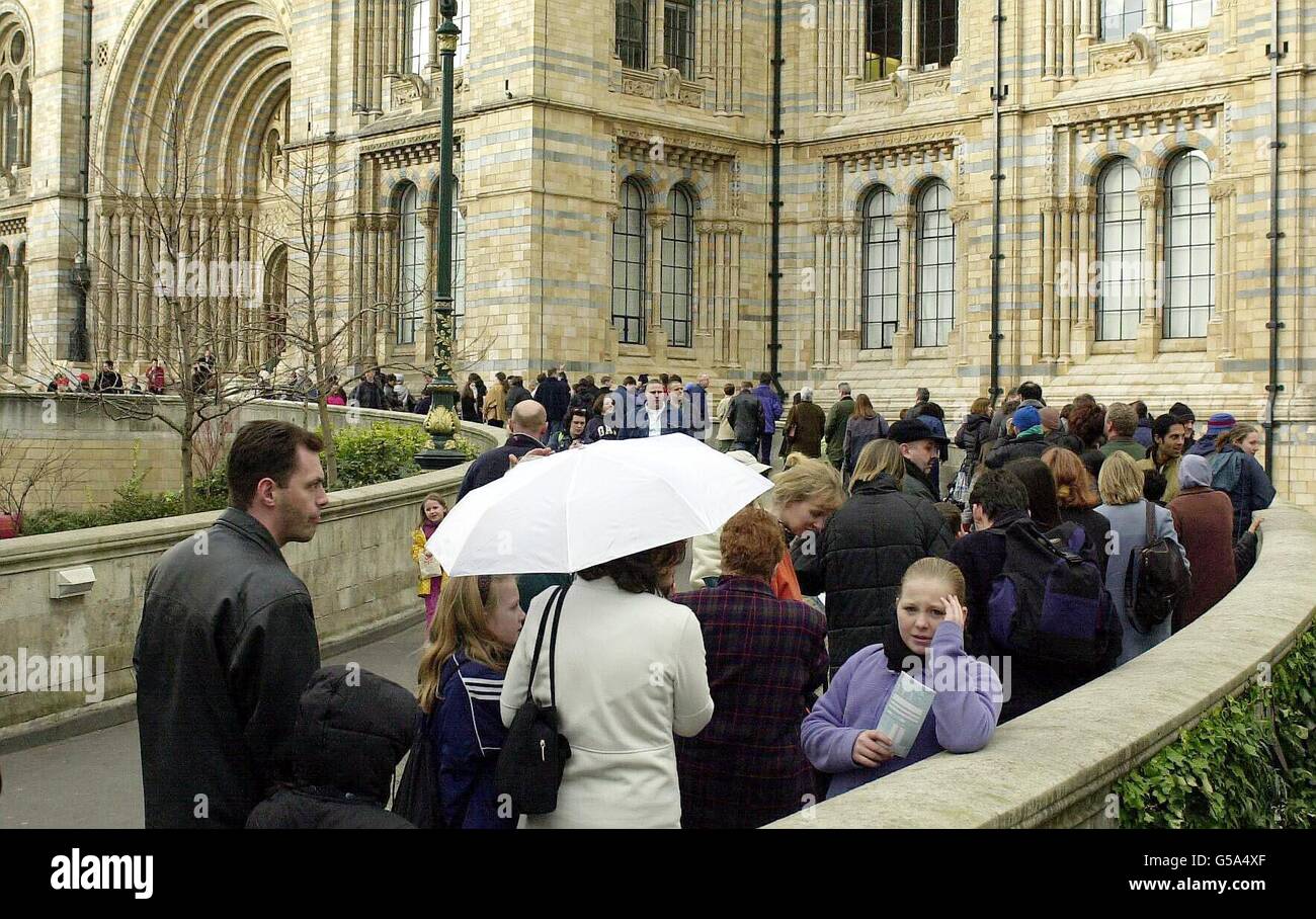 Tyrannosaurus rex standing up hi-res stock photography and images - Alamy