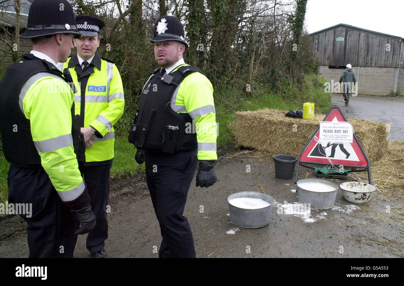 Cattle on highampton farm hi-res stock photography and images - Alamy