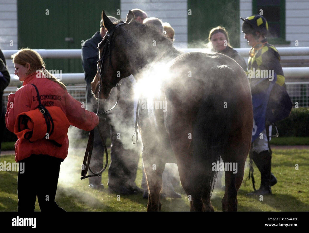 Horse's sweat heavily after taking part in the Ripon Selling Handicap ...