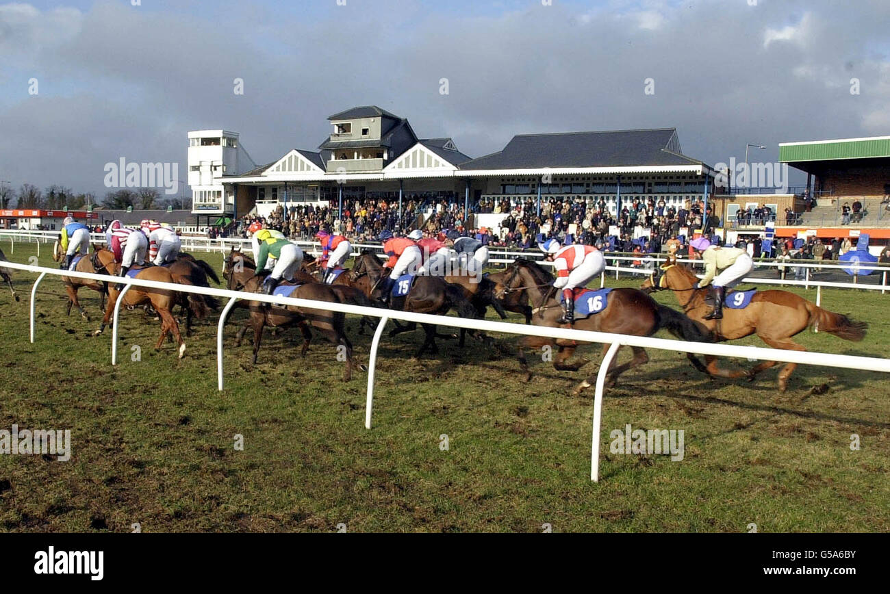 Runners and riders stream past the stands at Catterick races. Racing in ...