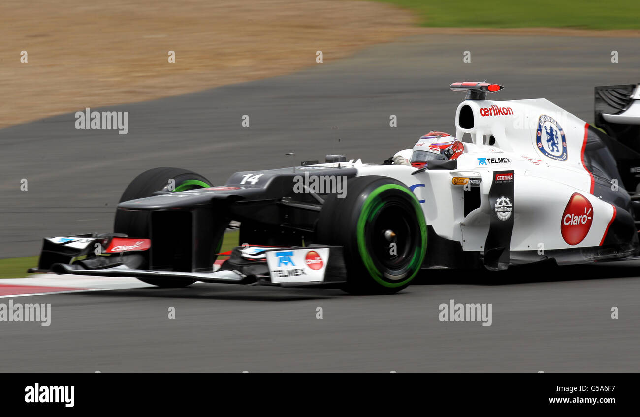 Motor Racing - 2012 Formula One World Championship - British Grand Prix ...